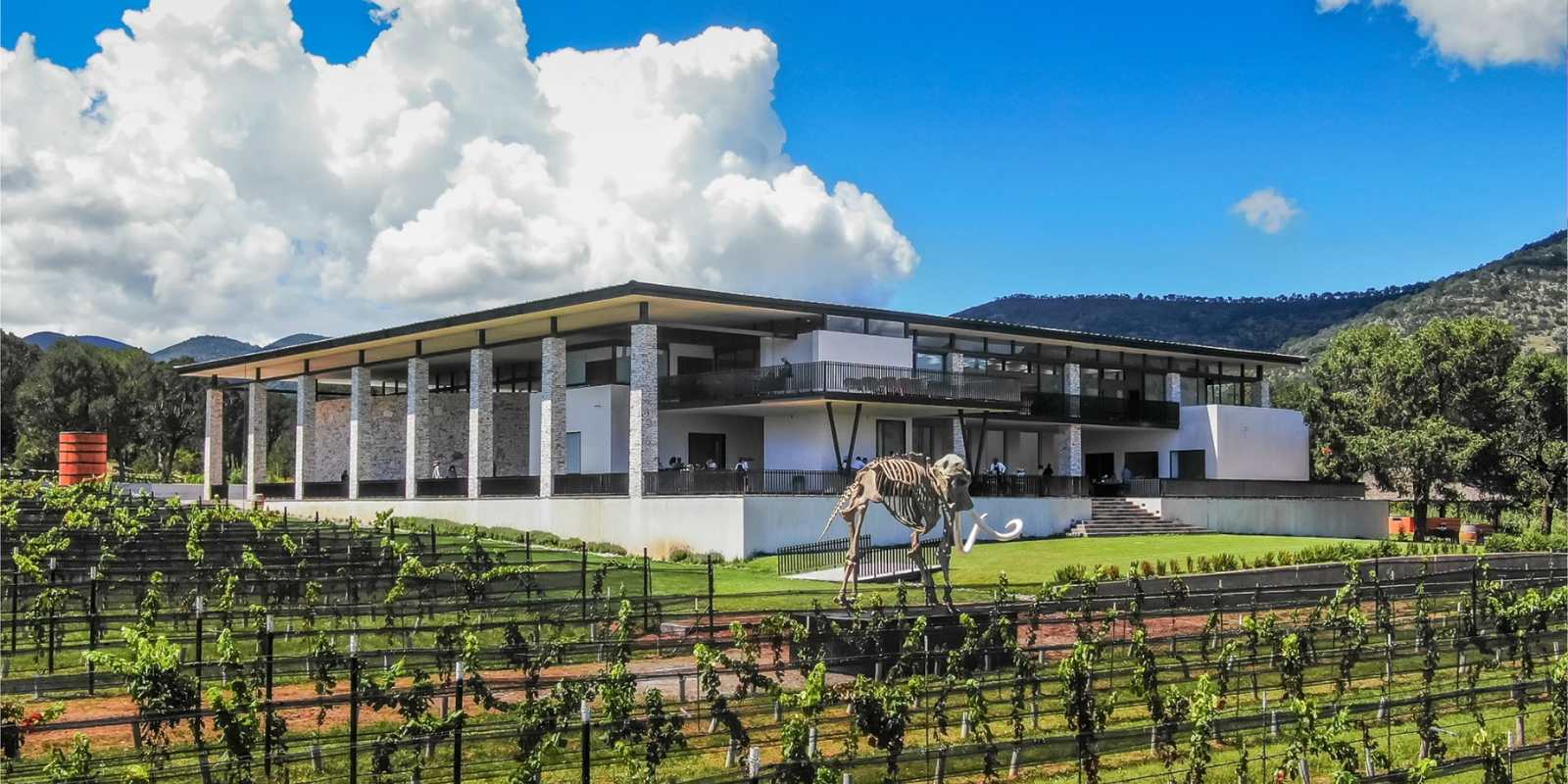 Bodega los Cedros ¡Contrata tu fecha!⭐️⭐️⭐️⭐⭐️