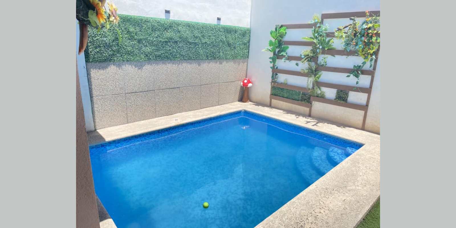 Mini Quinta JJ ¡Contrata tu fecha!⭐️⭐️⭐️⭐⭐️